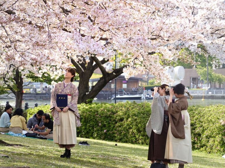 Cherry Blossoms in Japan: The Deep Meaning of Sakura | Japanese ...