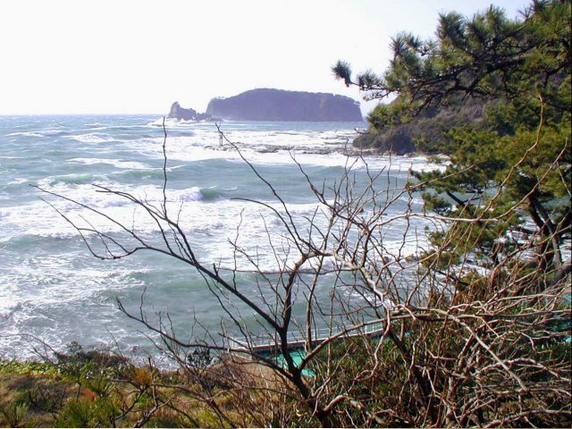 Haru-Ichiban: The First Spring Wind and a Song Loved in Japan ...